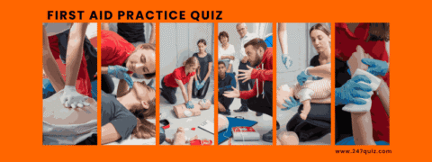 First Aid Quiz: 100 Practice Questions and Answers (Free)